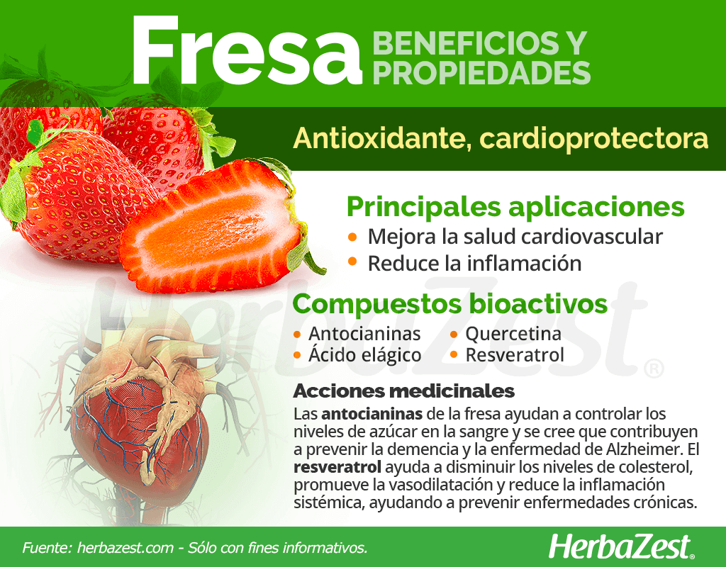 ¿Qué es la fresa y de dónde proviene? | Como Cocinar y Comer