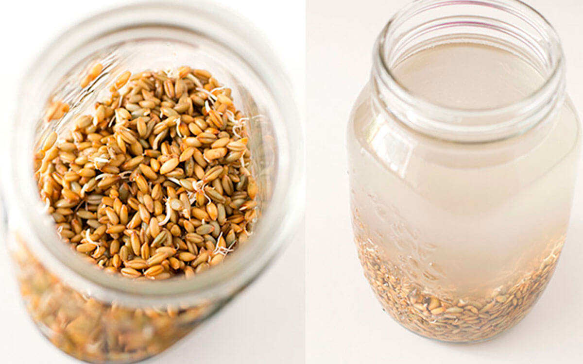 ¿Cómo remojar la cebada? | Como Cocinar y Comer