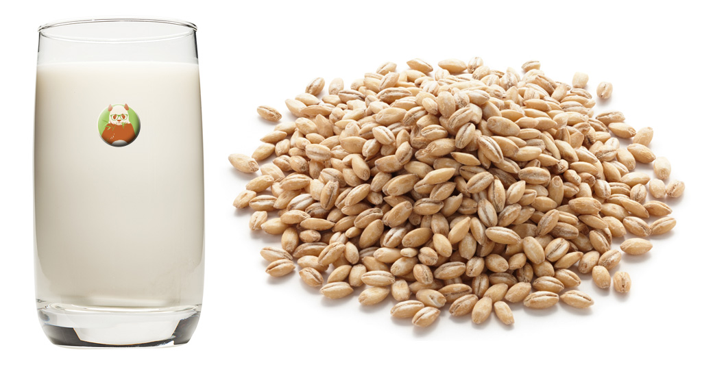 ¿Cómo se desinfecta la cebada? | Como Cocinar y Comer