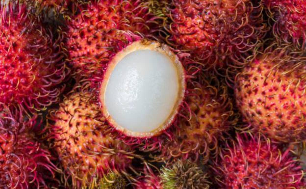 ¿Cómo se llama la fruta 7 sabores? | Como Cocinar y Comer