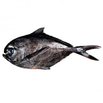 ¿Cómo se llama la reineta en España? | Como Cocinar y Comer