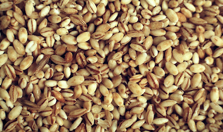 ¿Cuántas calorías tiene la cebada tostada? | Como Cocinar y Comer