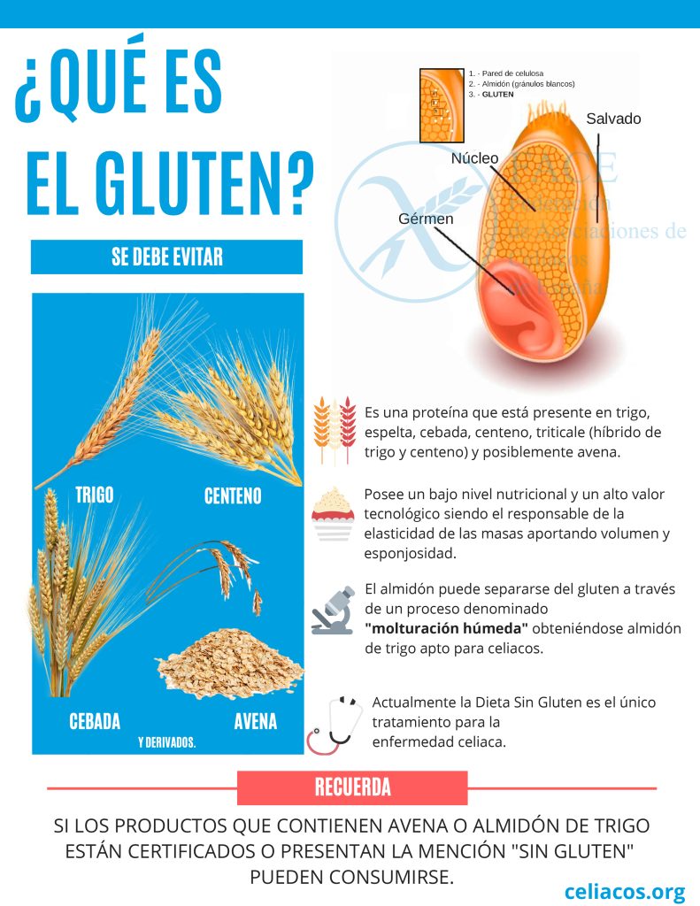 ¿Cuántos tipos de cebada hay? | Como Cocinar y Comer