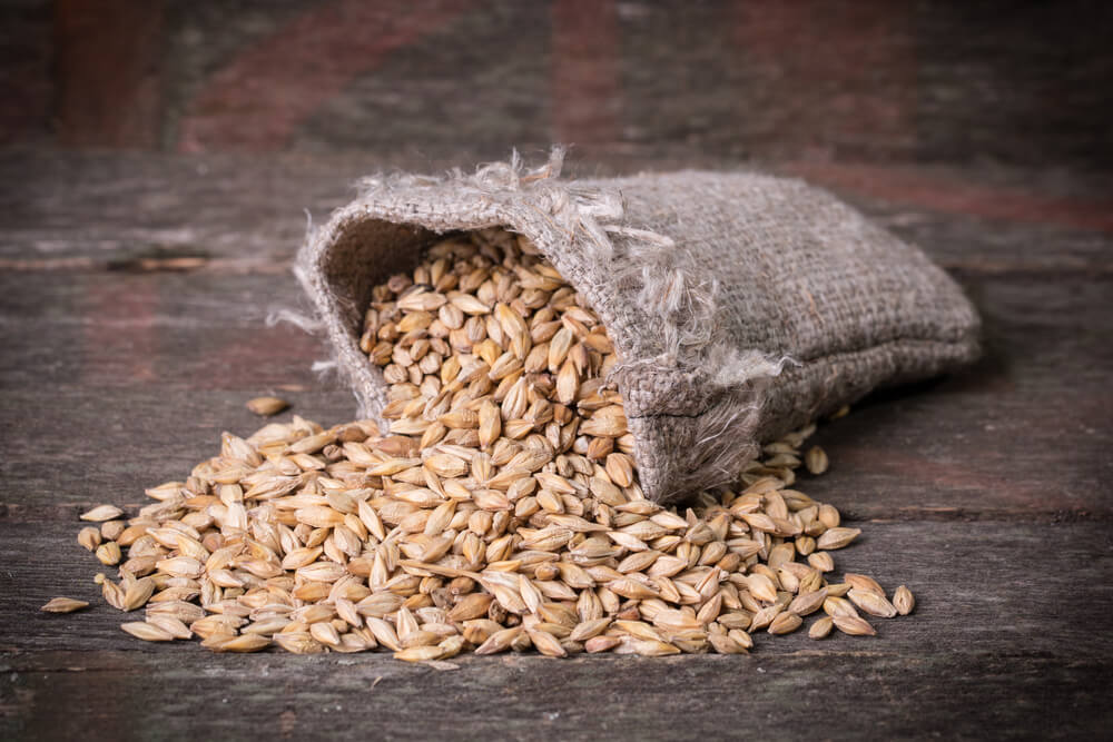 ¿Por qué es importante la cebada? | Como Cocinar y Comer