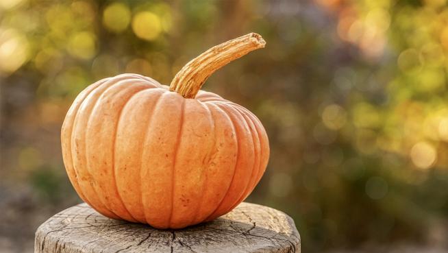 ¿Qué beneficios tiene la calabaza cocida? | Como Cocinar y Comer