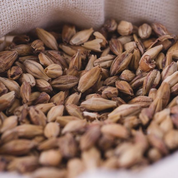 ¿Qué beneficios tiene la cebada tostada? | Como Cocinar y Comer