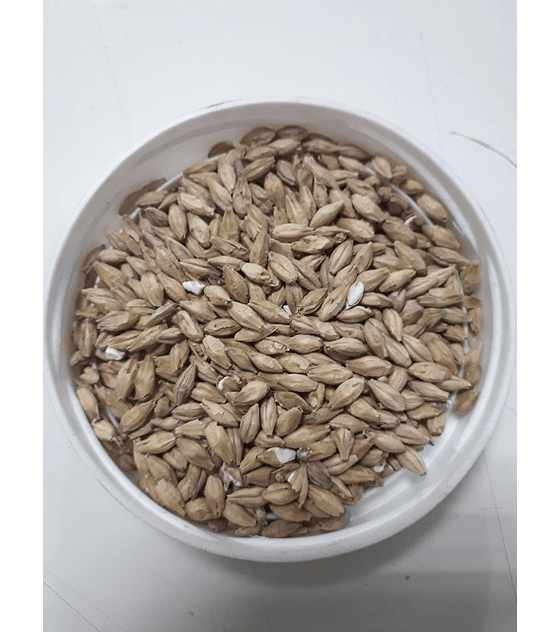 ¿Qué efectos tiene la cebada? | Como Cocinar y Comer