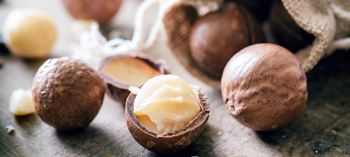 ¿Qué efectos tiene la nuez? | Como Cocinar y Comer