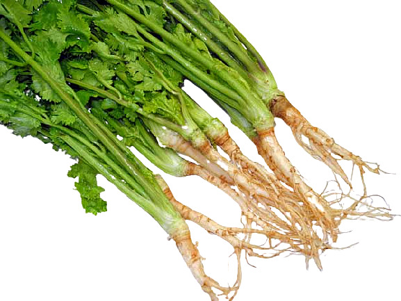 ¿Qué es el cilantro seco? | Como Cocinar y Comer