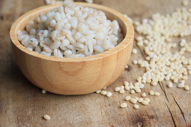 ¿Qué es la cebada y para qué se utiliza? | Como Cocinar y Comer