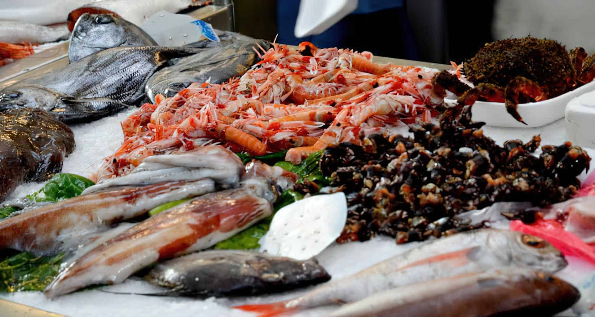 ¿Qué es mejor pescado o mariscos? | Como Cocinar y Comer
