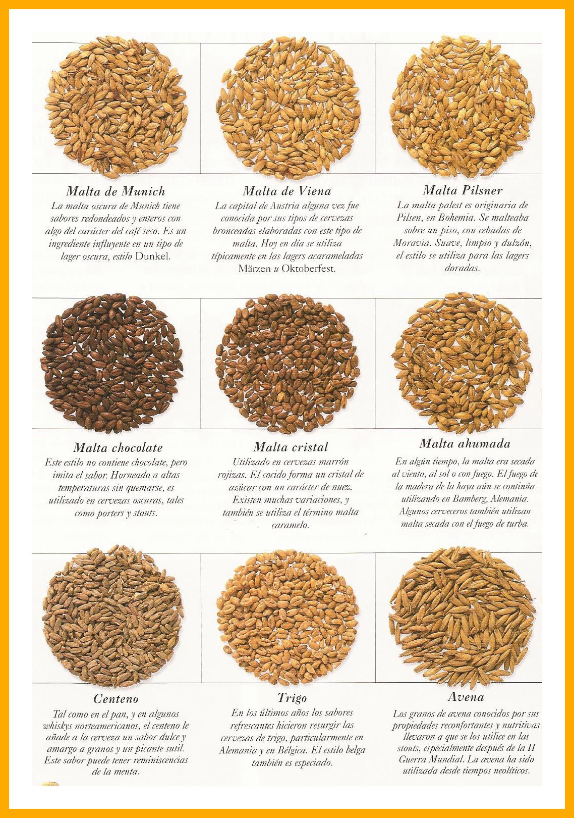 ¿Qué grano es la cebada? | Como Cocinar y Comer