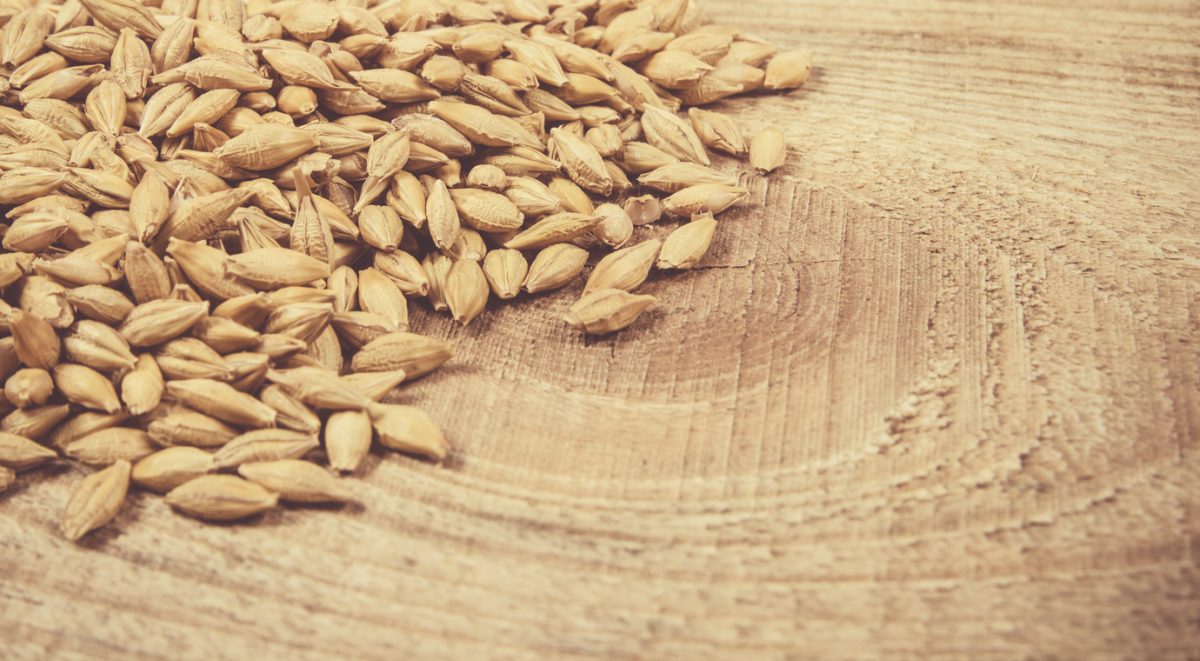 ¿Que limpia la cebada? | Como Cocinar y Comer