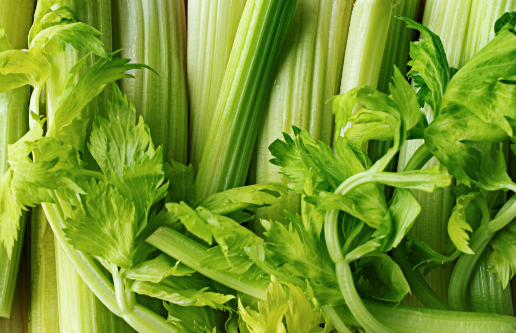 ¿Qué parte del apio es más saludable? | Como Cocinar y Comer