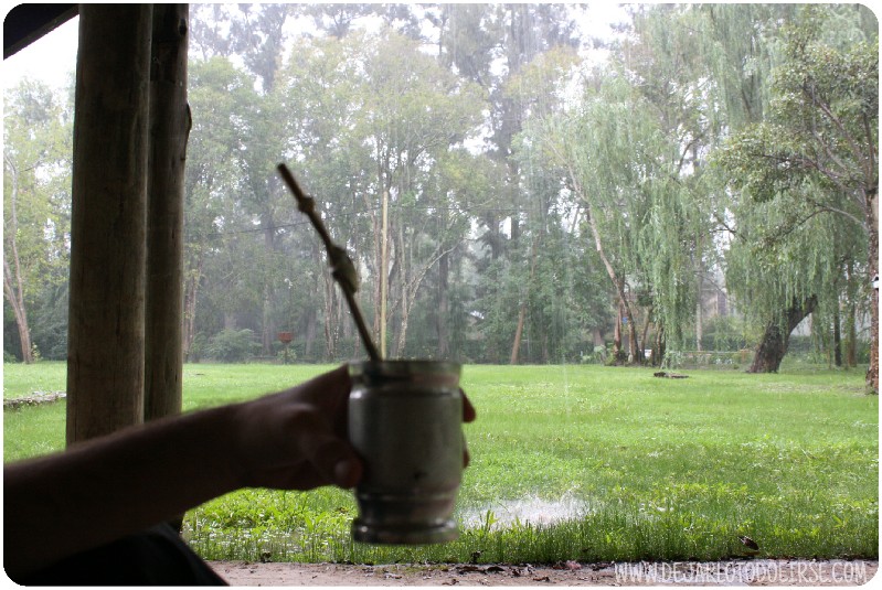 ¿Qué pasa si le pongo azúcar al mate amargo? | Como Cocinar y Comer