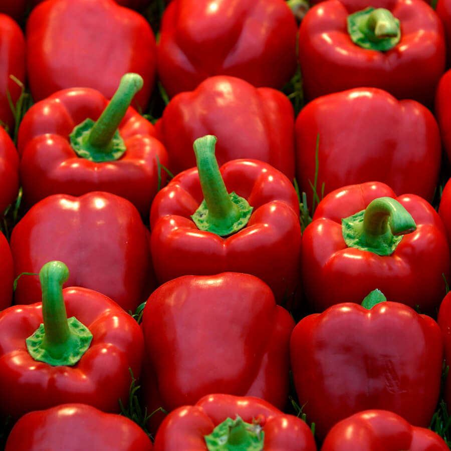 ¿Qué previene el pimiento rojo? | Como Cocinar y Comer