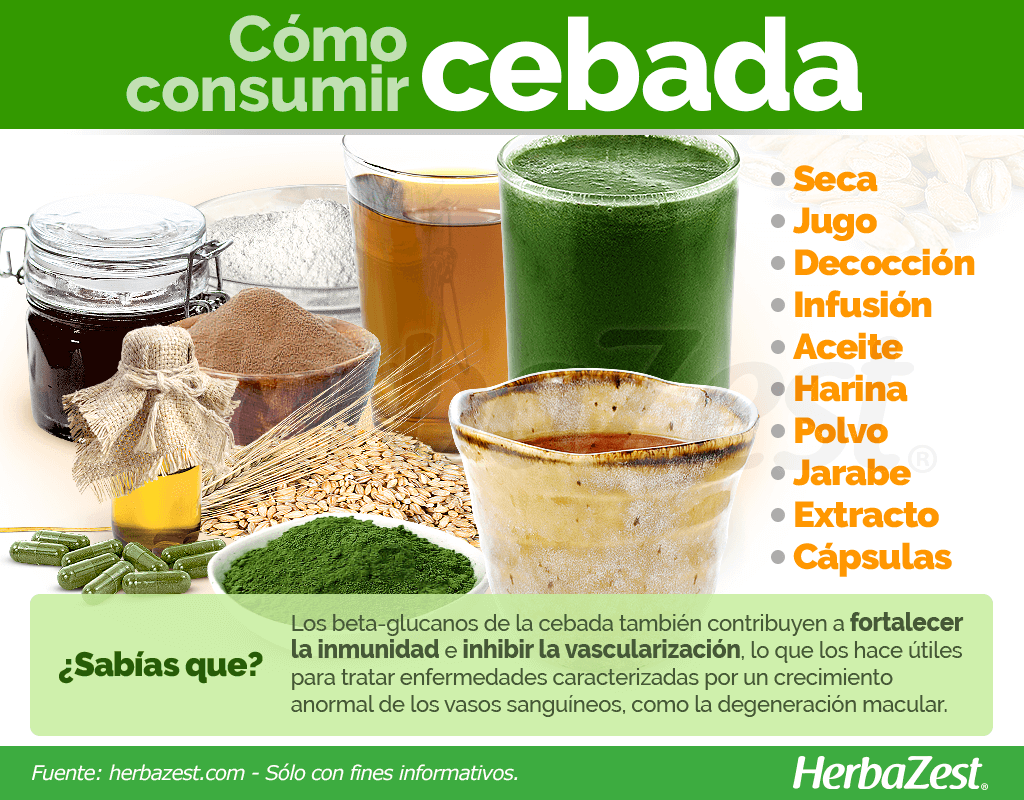 ¿Qué propiedades tiene la cebada perlada? | Como Cocinar y Comer