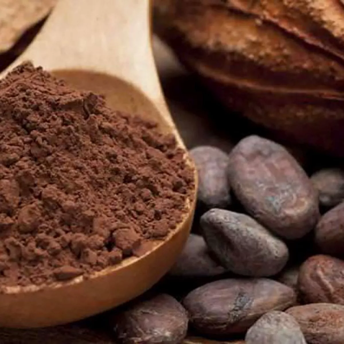 ¿Qué se puede hacer con el cacao? | Como Cocinar y Comer