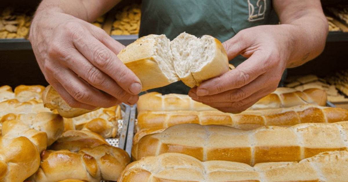 ¿Que se puede reemplazar por el pan? | Como Cocinar y Comer