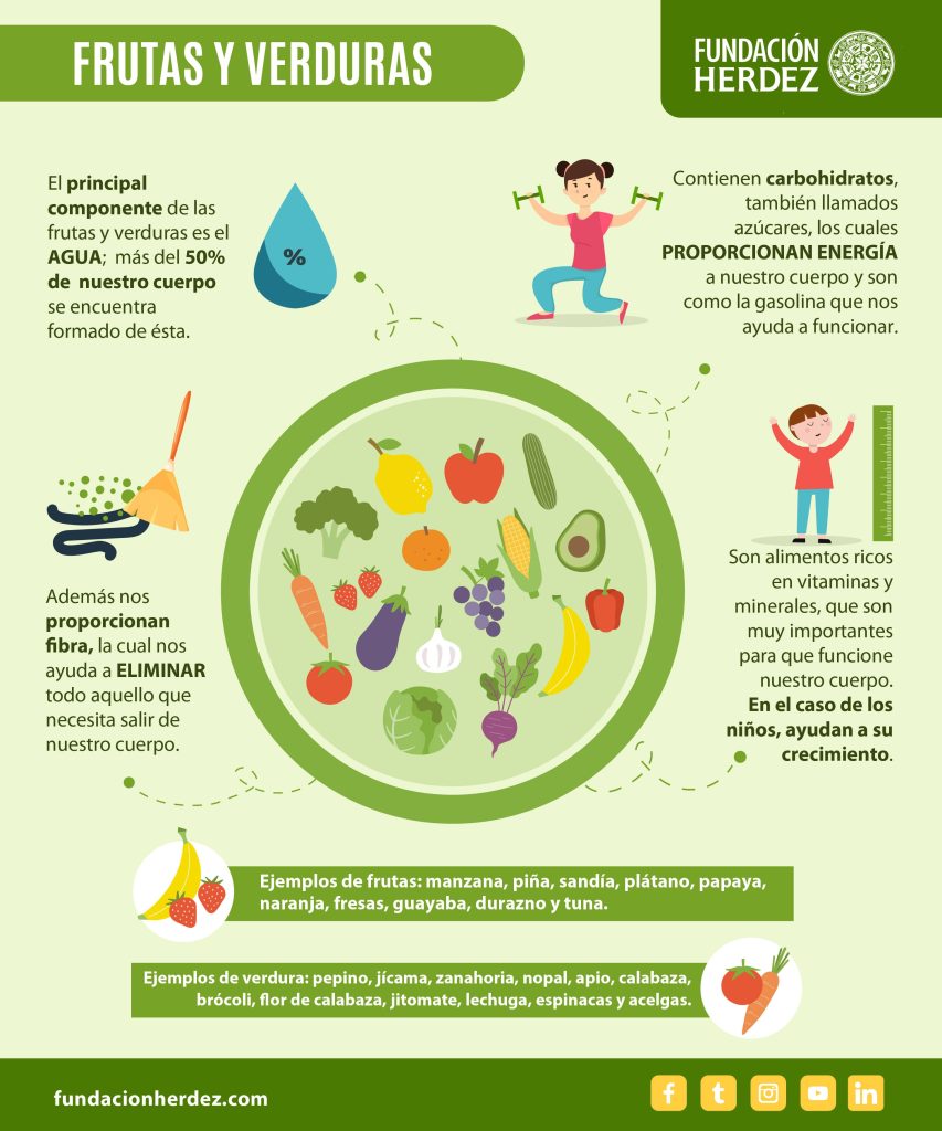 ¿Qué significa el color verde en el plato del bien comer? | Como ...