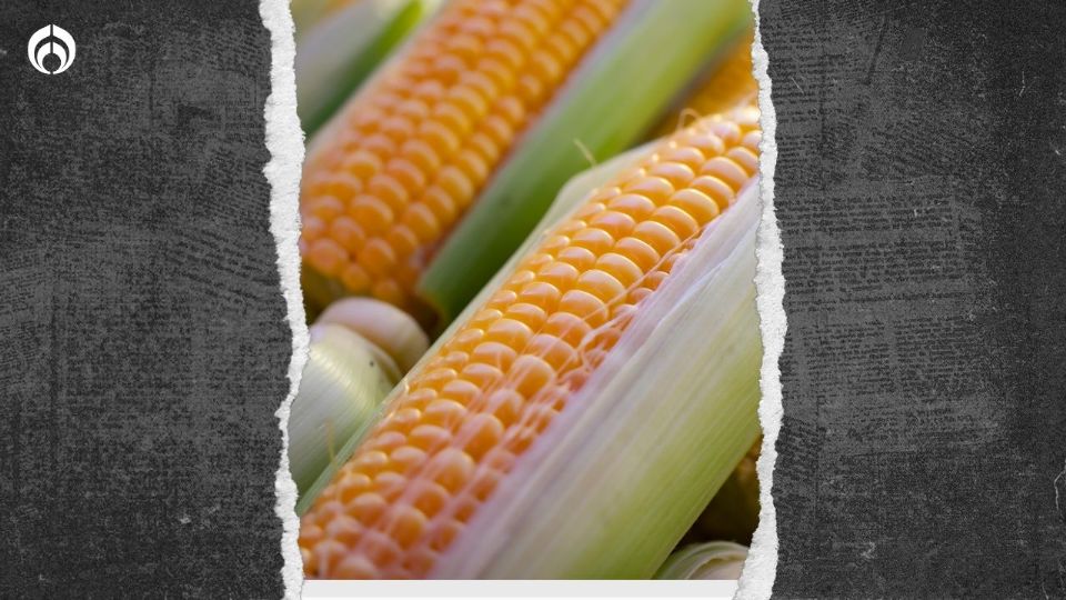 ¿Qué significa la palabra de maíz? | Como Cocinar y Comer