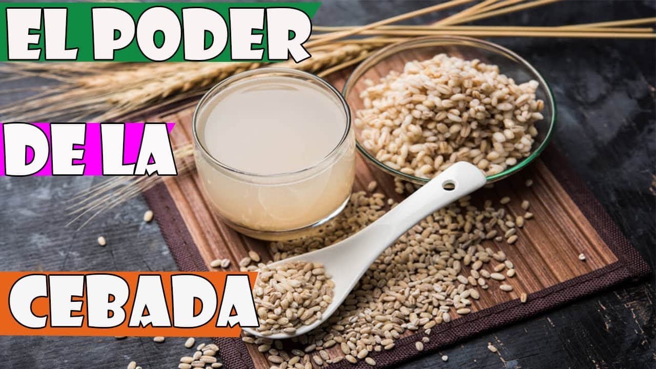 ¿Qué tan saludable es la cebada? | Como Cocinar y Comer