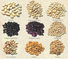 ¿Qué tipo de alubias son las mejores? | Como Cocinar y Comer