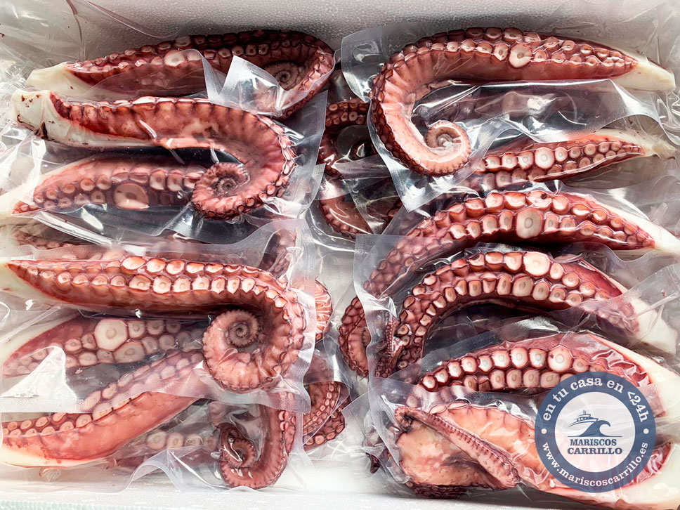 ¿Qué tipo de marisco es el pulpo? | Como Cocinar y Comer