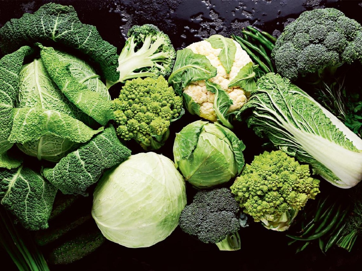 ¿Qué tipos de col hay? | Como Cocinar y Comer